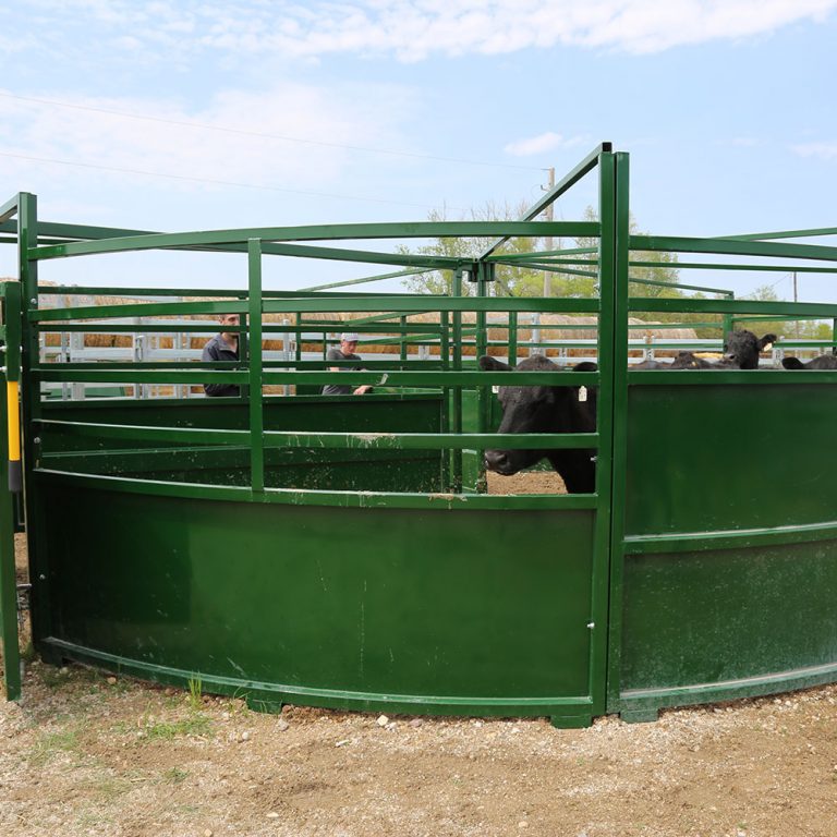 Cattle Alleys & Tubs – Schulte CattleQuip